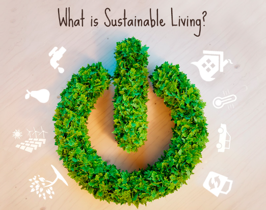 Simple sustainable lifestyle ways to easily inspire you- Seedrakhi